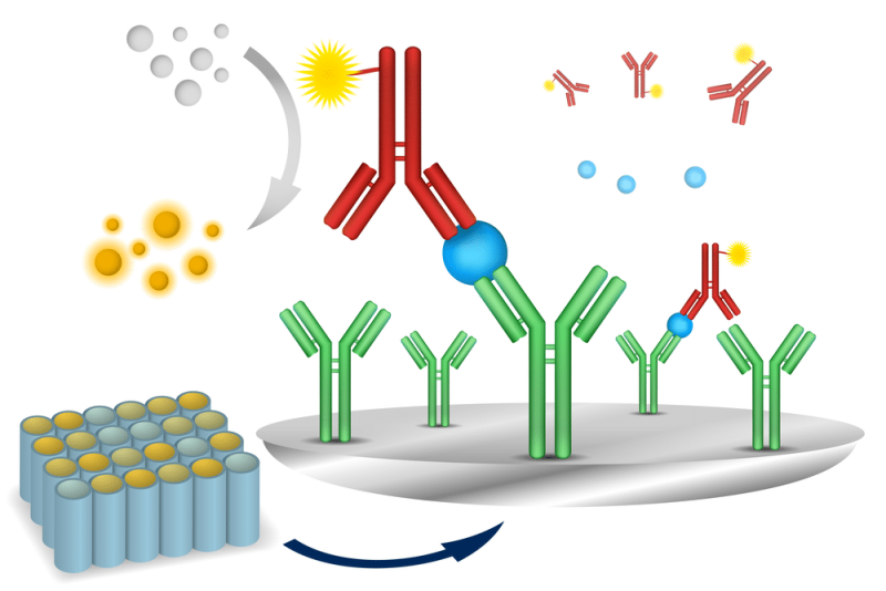 How Does Drug Testing With Enzyme Immunoassay Work? - Trinity Medical ...